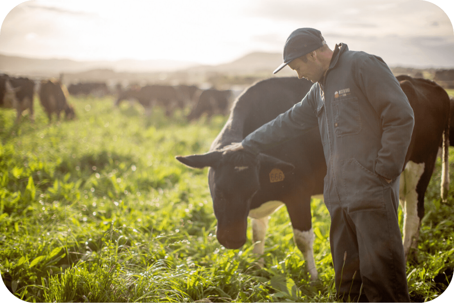 Cropa | The Best Farming and Ag Contracting News | Cropa